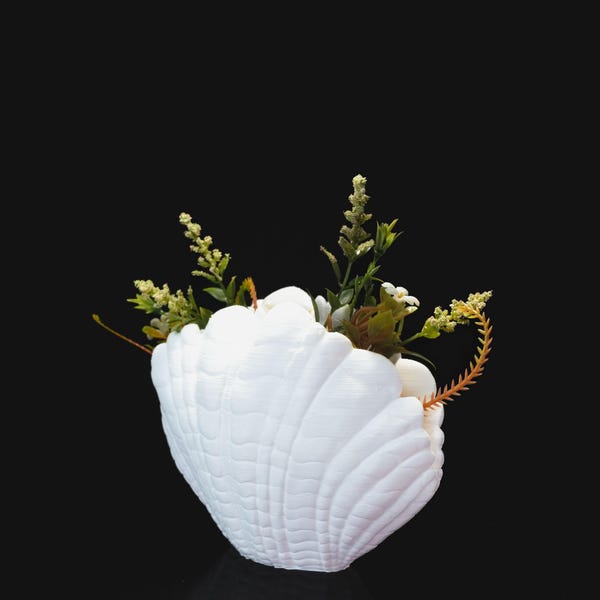 Seashell Vase - Etsy