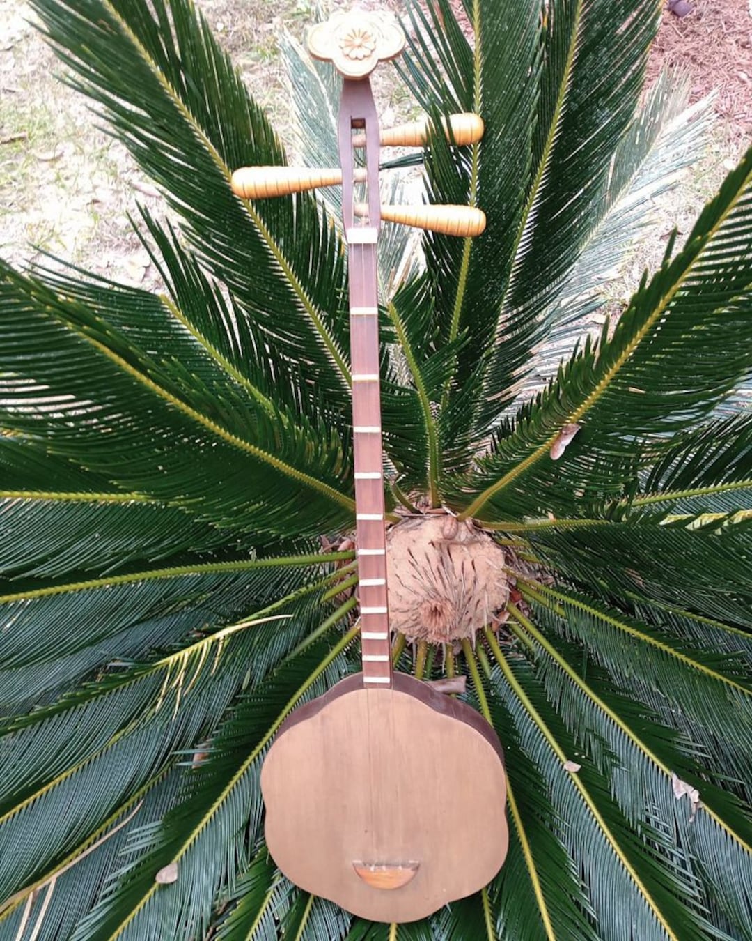 Antique Chinese Ruan Moon Wood Long Neck Guitar, Vintage Chinese Yueqin ...