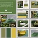 Color Palette With Hex Codes Green Color Palette Modern Color Palette ...