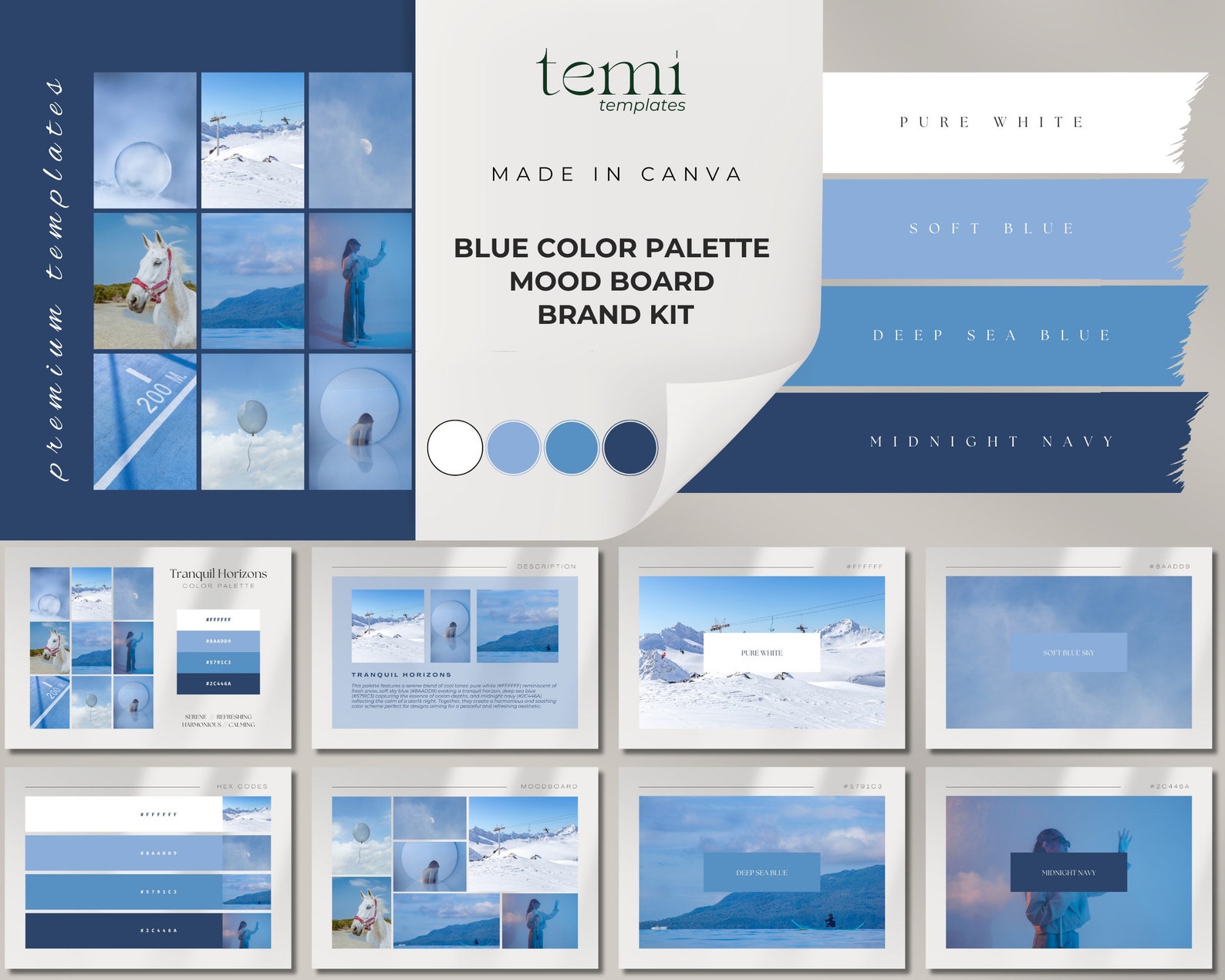 Color Palette With Hex Codes Blue Color Palette Winter Color Palette ...