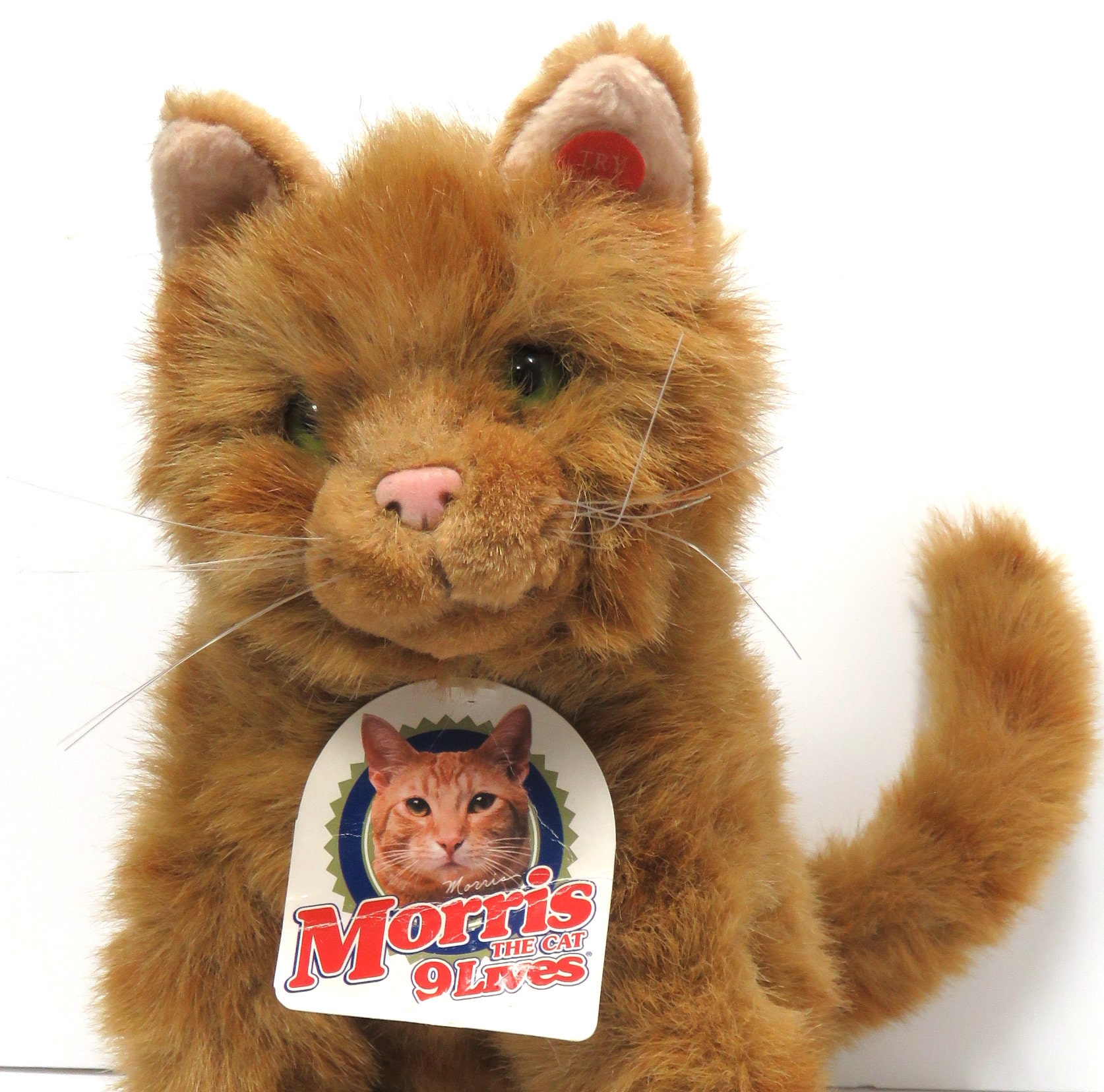 Morris The Cat 9 Lives