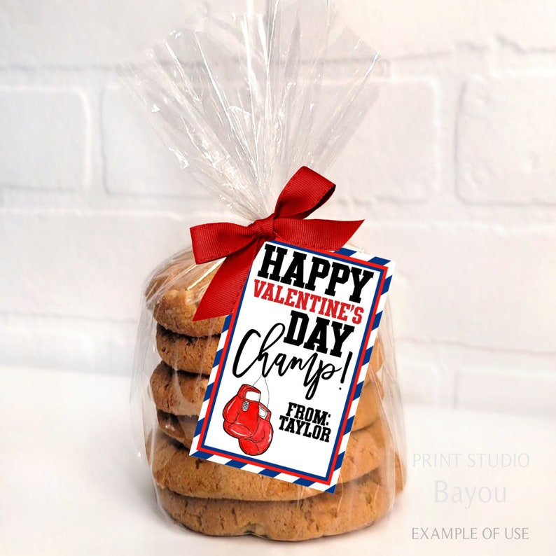 Happy Valentine's Day Champ Gift Tags, Boxing Cards, Class Valentine ...