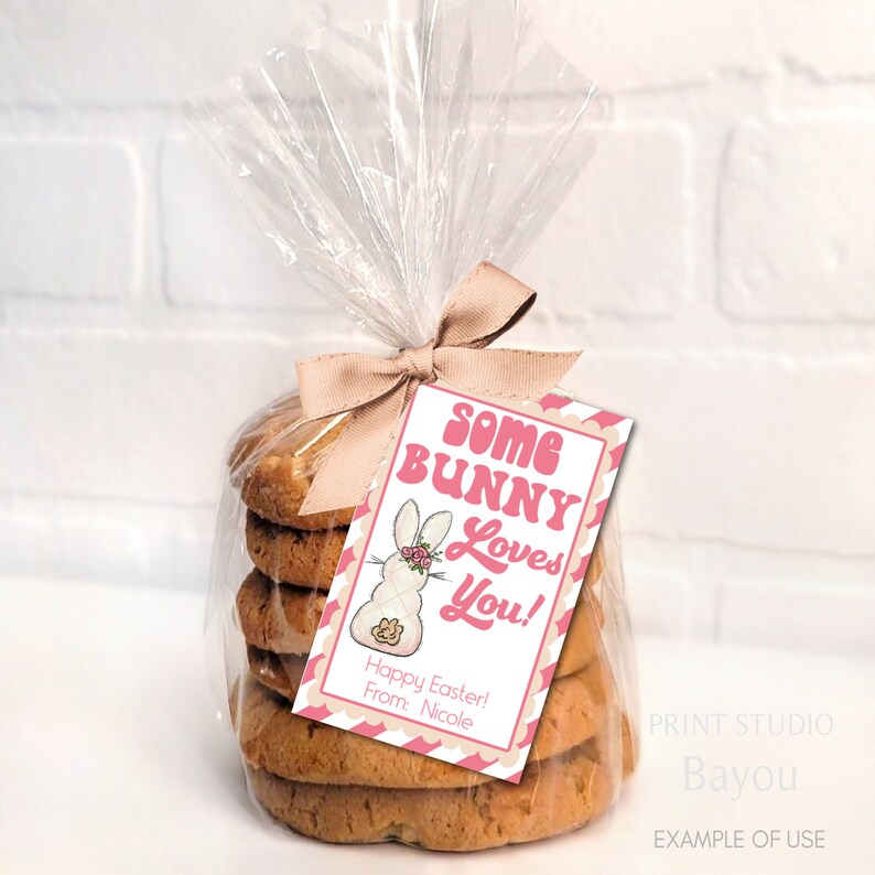 Printable Some Bunny Loves You Gift Tags, Easter Favor Tags, Stickers ...