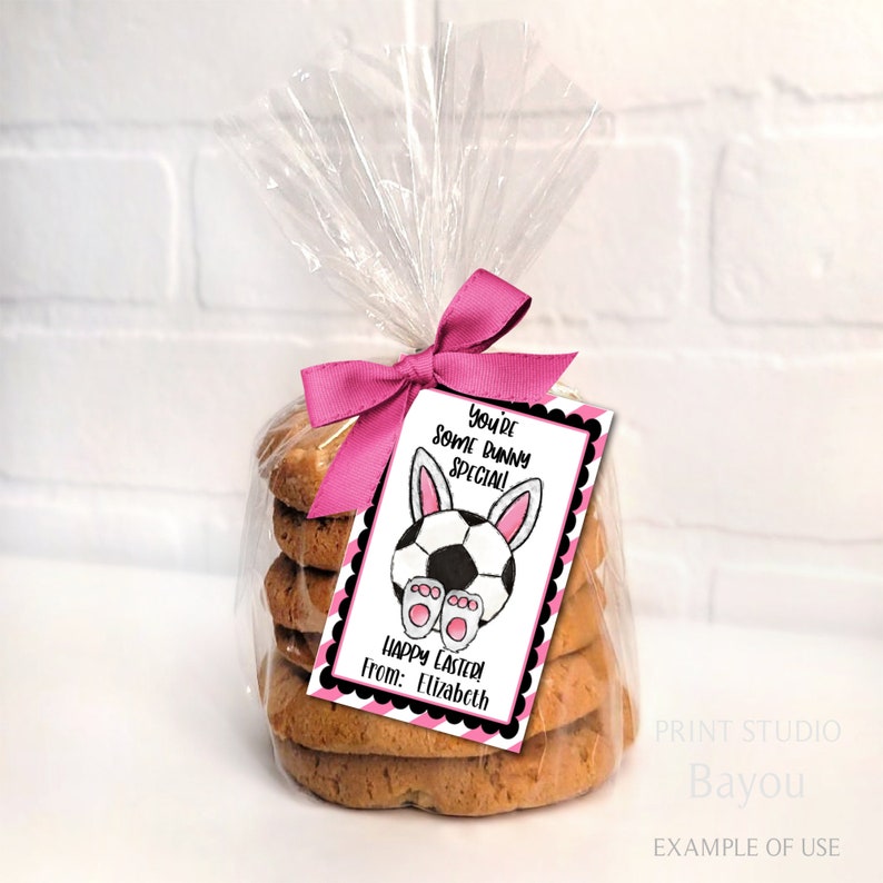 Printable You're Some Bunny Special Soccer Themed Gift Tags, Easter ...