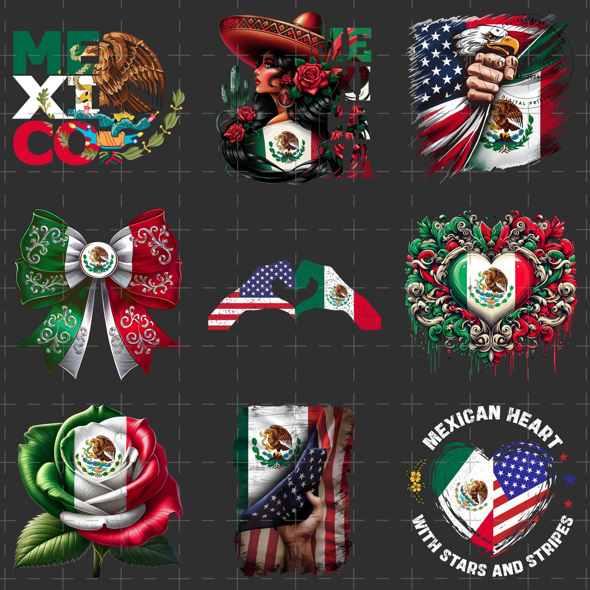 Banderas Geniales Del Orgullo Mexicano Roberto Lozano Fotografía | 24