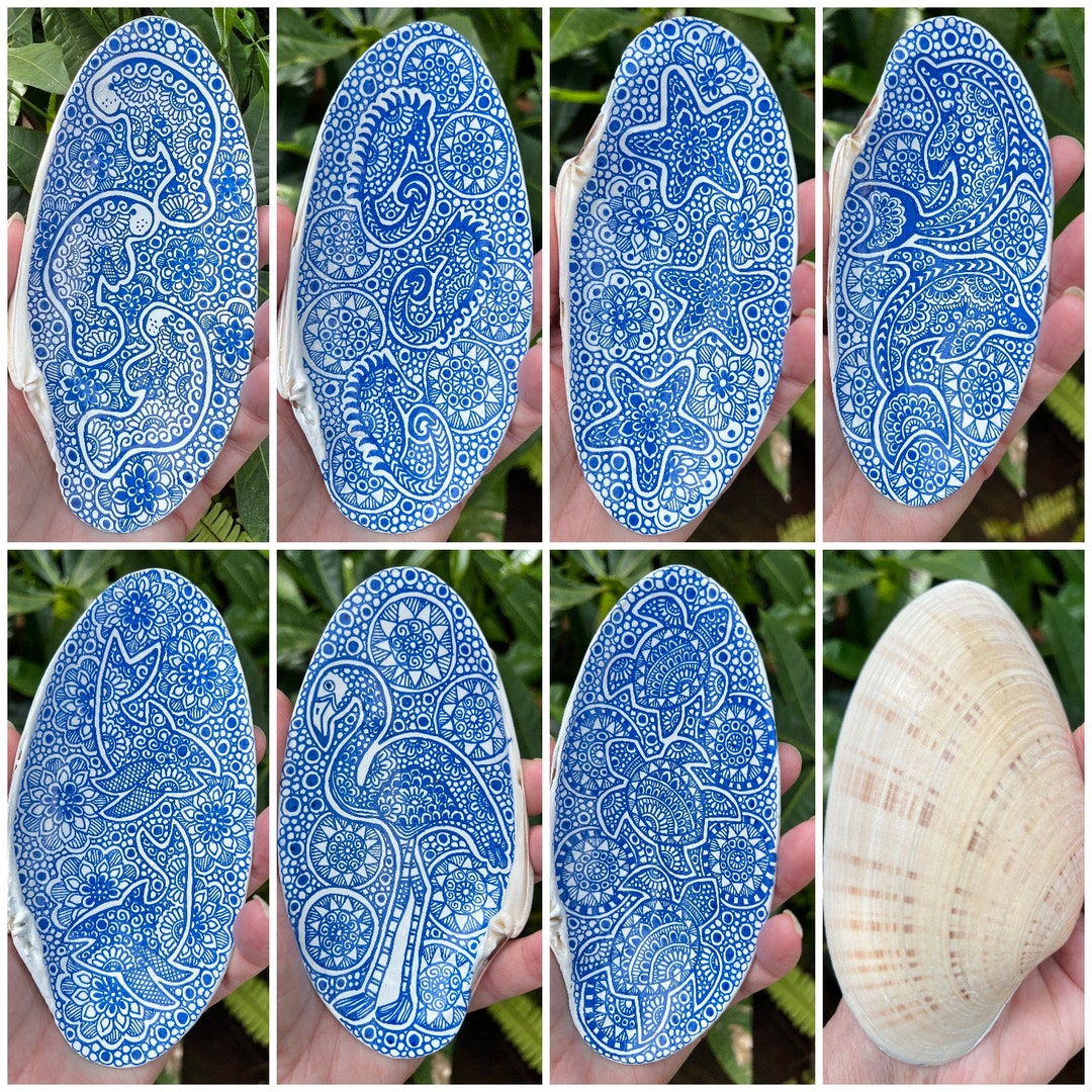 Assorted Sea Creatures - Sunray Venus Clams - Sold Individually - Etsy