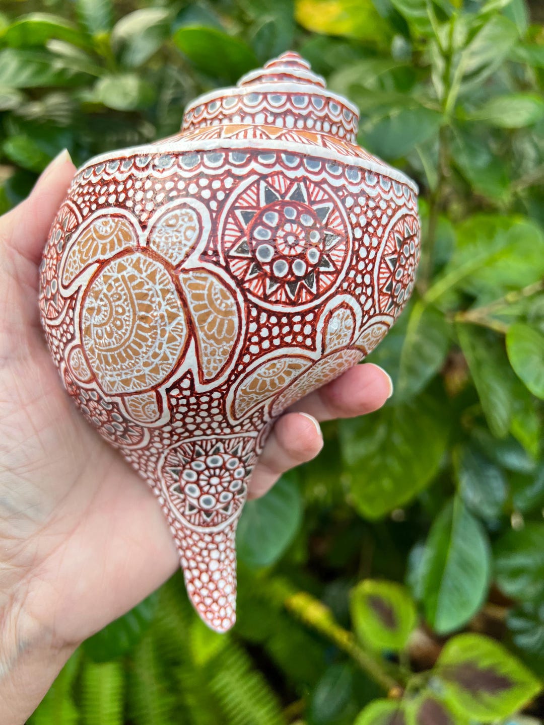 Hand Painted Channel Whelk Shell 7 Turtles - Etsy