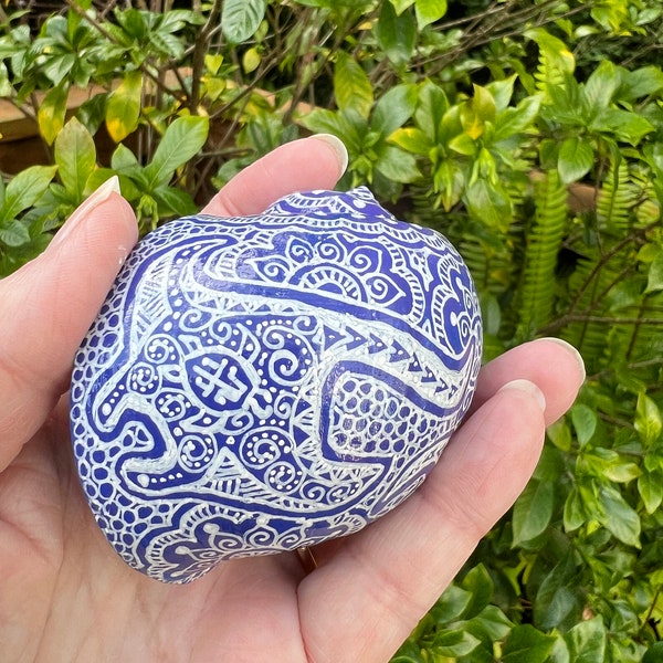 Apple Snail Shell - Etsy