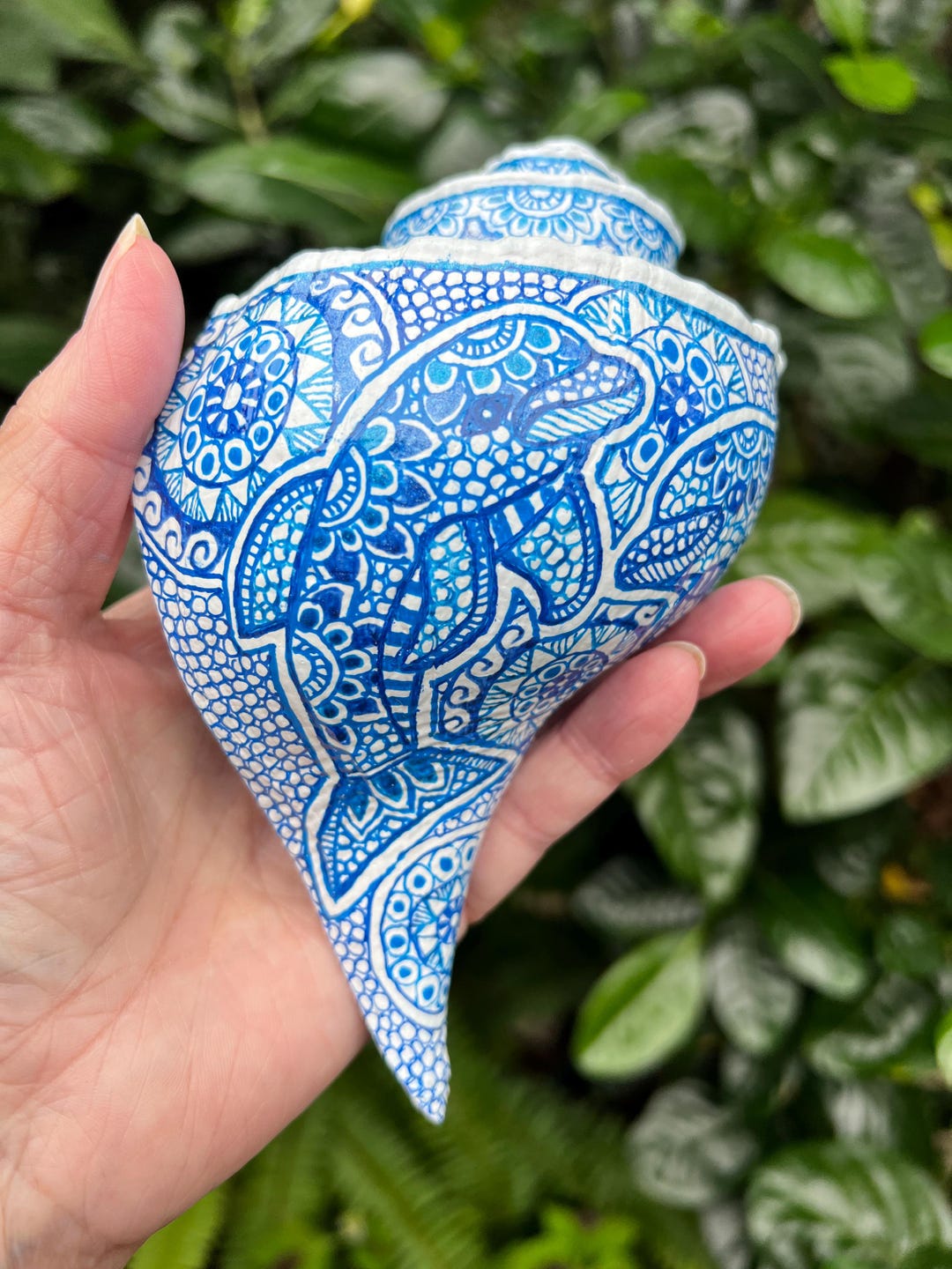 Hand Painted Channel Whelk Shell 7” - Dolphins - Etsy