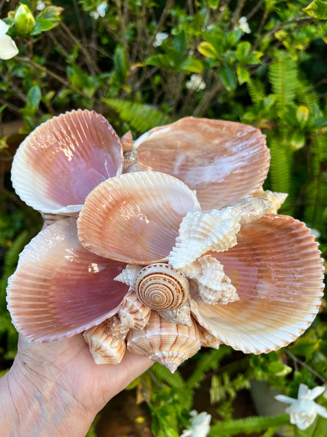 TheBeachGirlStudio - Etsy