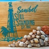 The Beach is Calling - Shell Resin Frame - Etsy