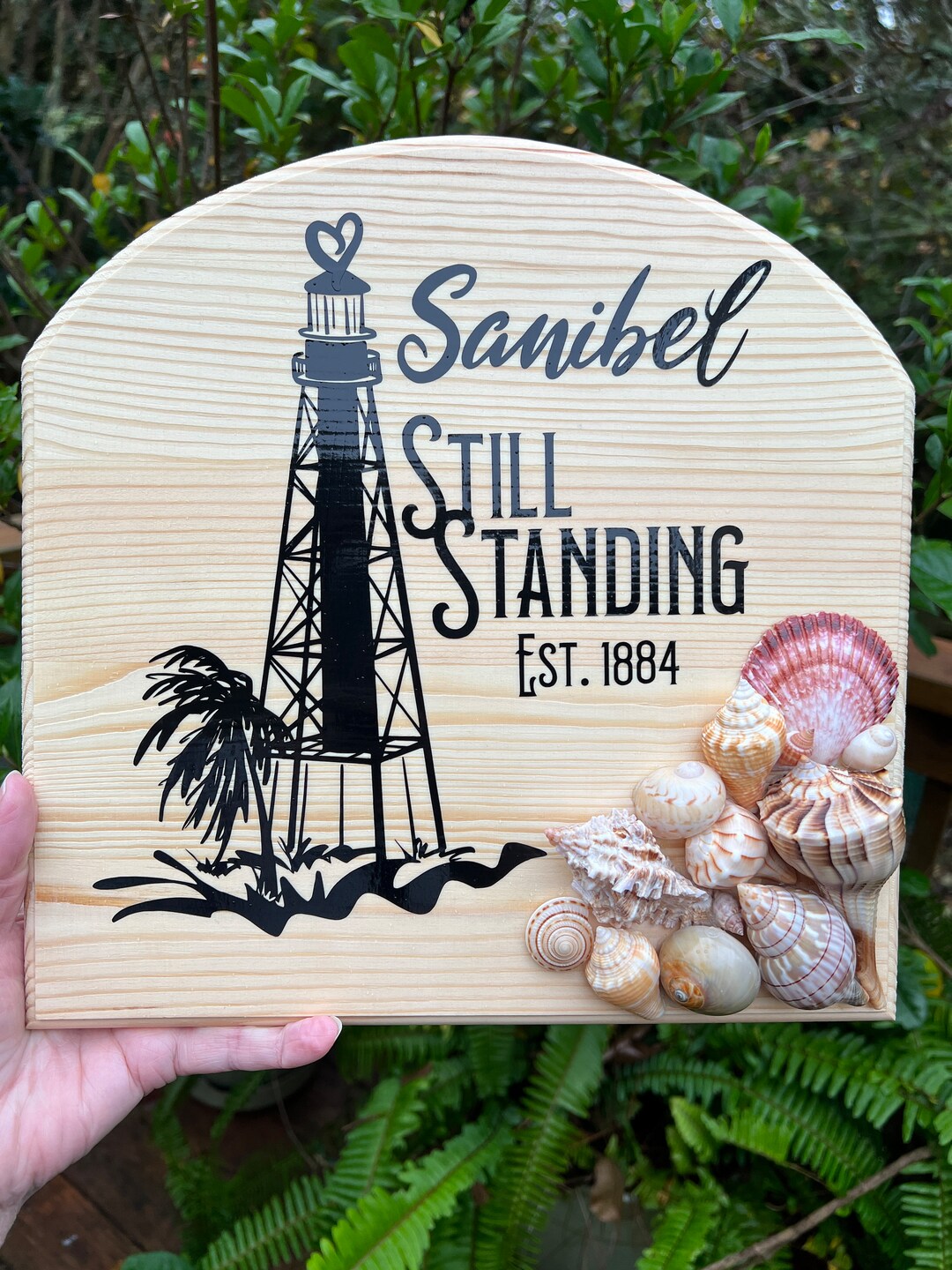 Sanibel Island Lighthouse Shell Display Black - Etsy