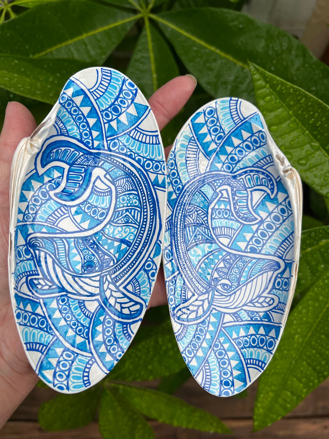 Set of 2 Sunray Venus Clams - Whales #2 - Etsy