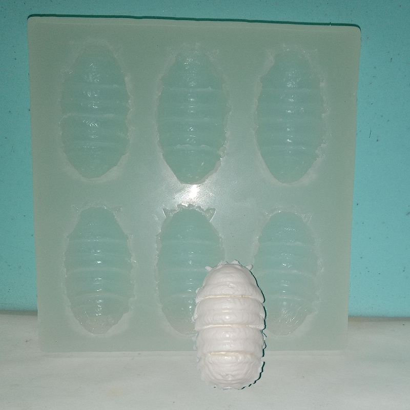 Bug Mold - Etsy