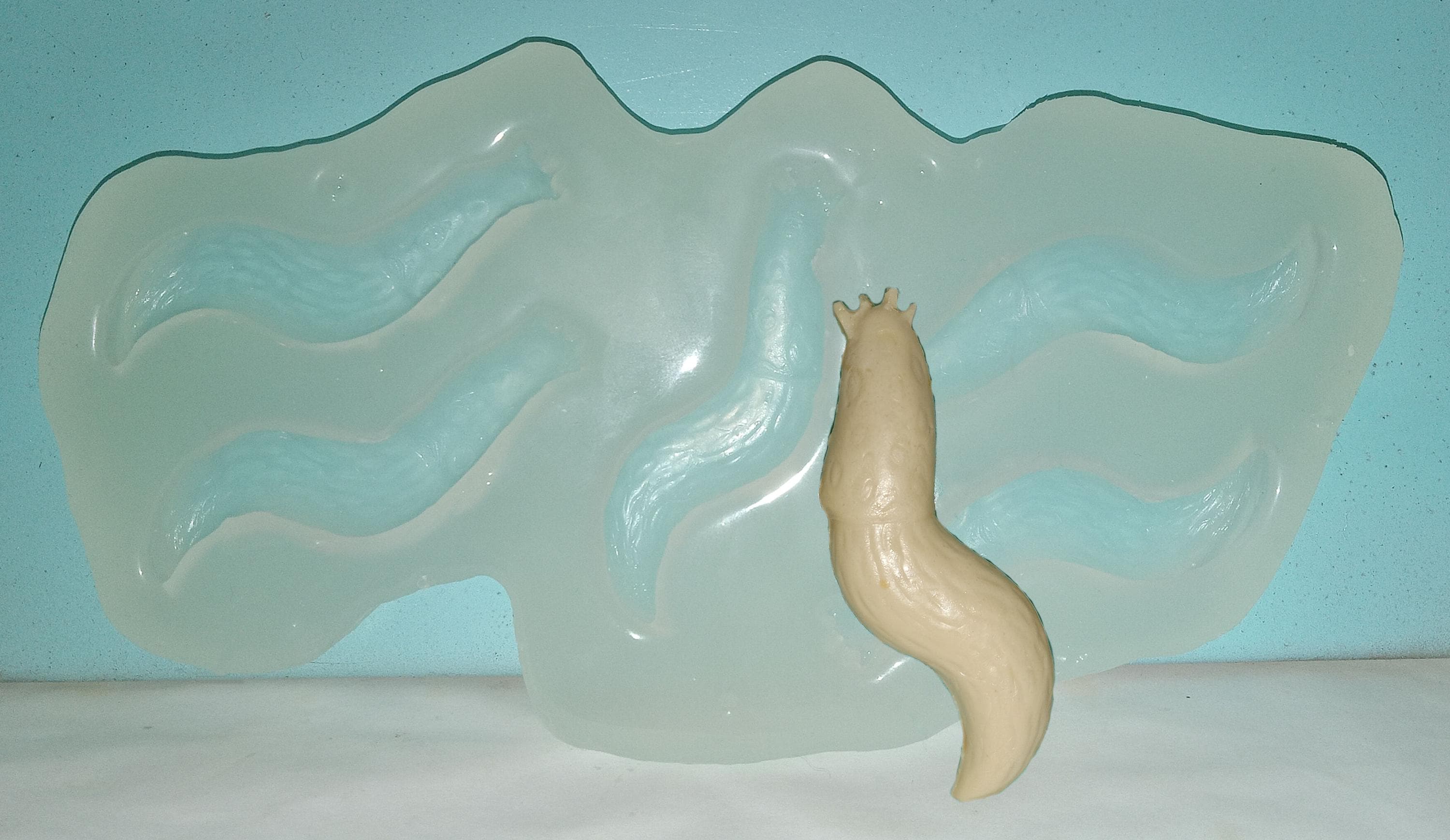 Made to Order Custom Food Safe Silicone Candy Molds - Banana Slugs - Etsy