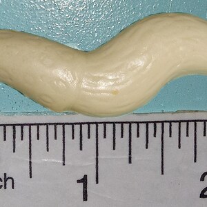 Made to Order Custom Food Safe Silicone Candy Molds - Banana Slugs - Etsy