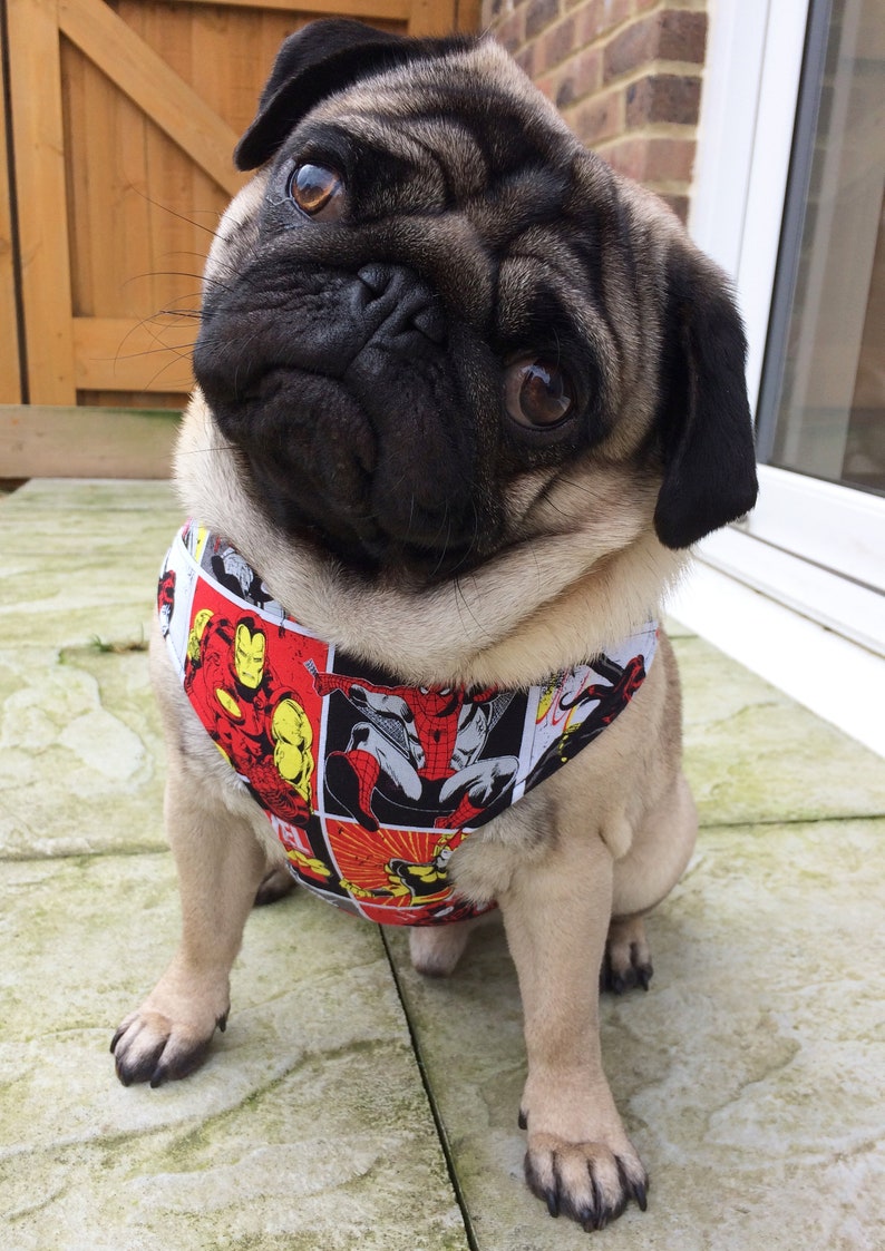 DIY Dog Harness Sewing Pattern and Full Instructions PDF | Etsy