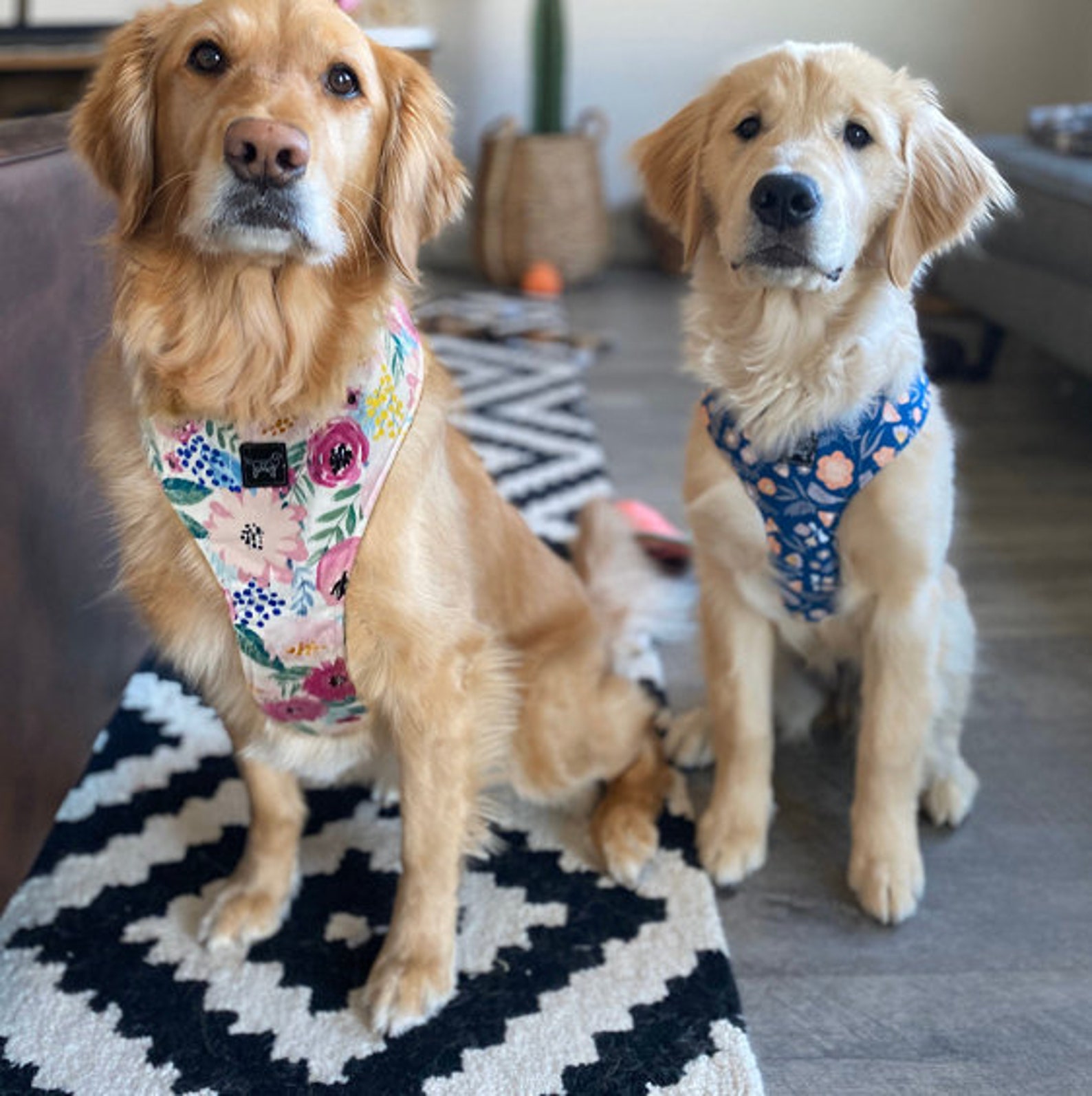 DIY Dog Harness LARGE Breed, Sewing Pattern & Full Instructions PDF ...