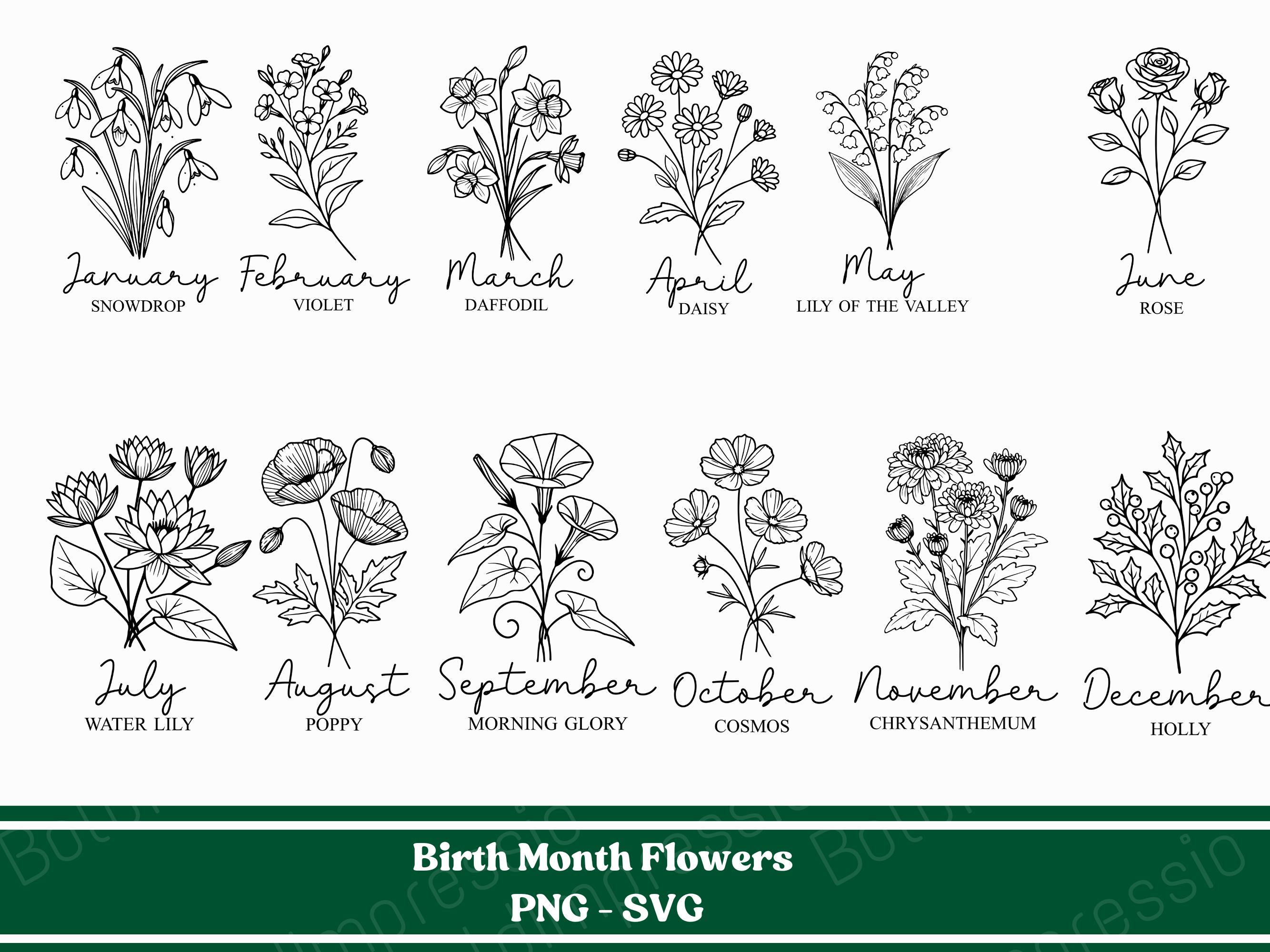 Birth Month Svg Bundle, Birthmonth Svg, Birth Month Flower Svg, Birth ...