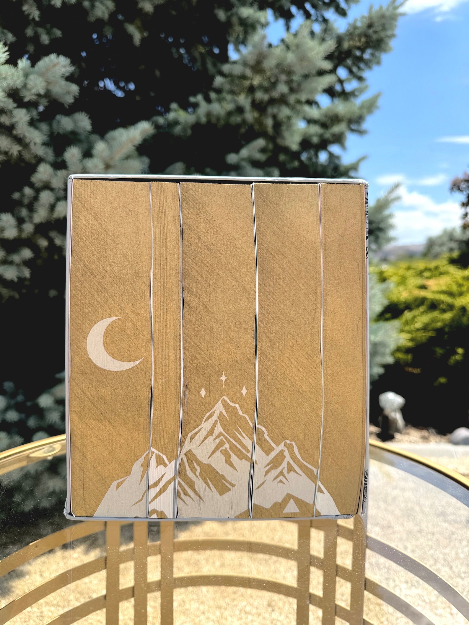 A Court of Thorns and Roses Box Set Sprayed Edges - Velaris - Sarah J ...