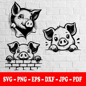 PEEKING PIG, 3 Pack, Svg, T-shirt, Sticker, Mug Wrap, Vector ...