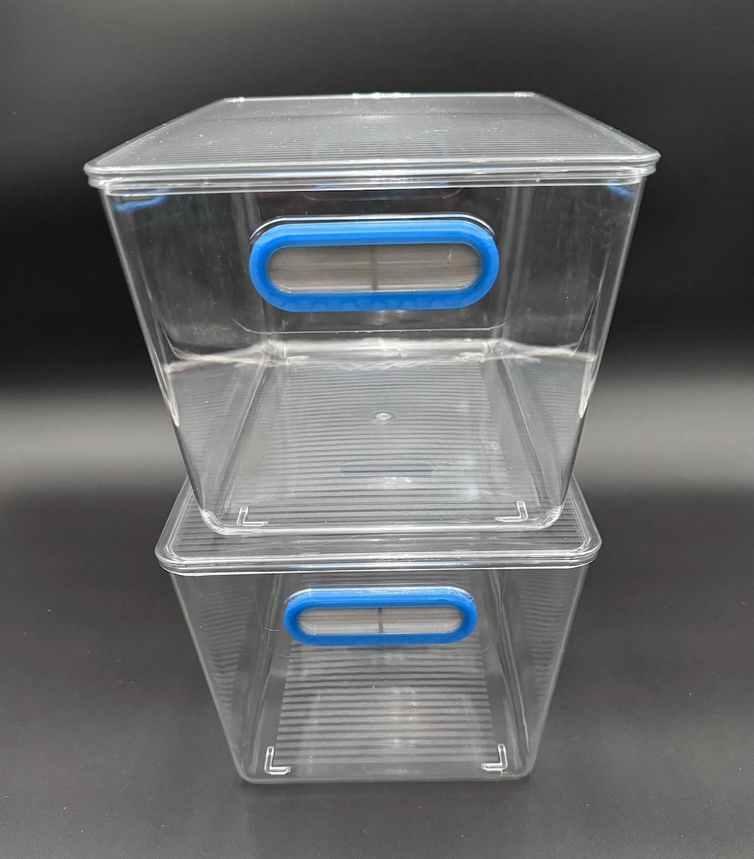 8.5 Quart Isopod/invertebrate Bin - Etsy