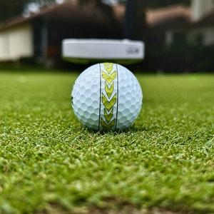 Golf Gone Wild, the Original Golf Ball, 12 Ball Pack, Unique Gifts, Fun ...