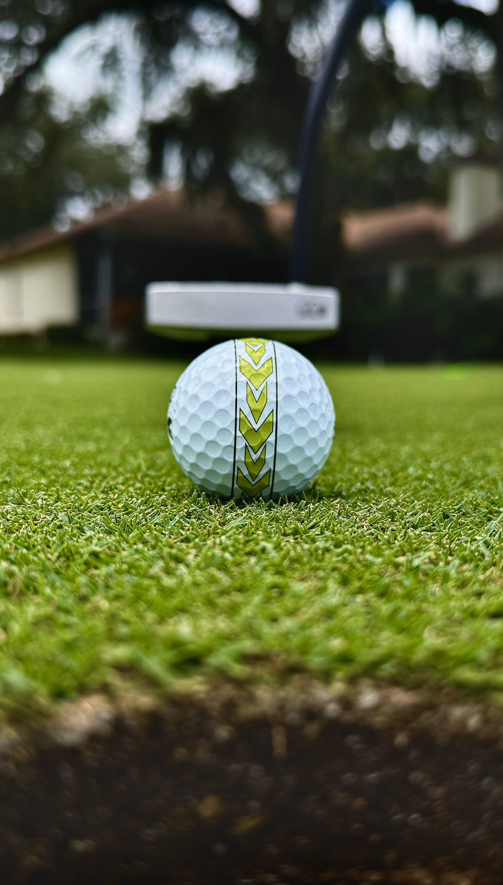 Custom Golf Balls, Unique Golf Balls, Seltzer Can Golf Balls, Unique ...