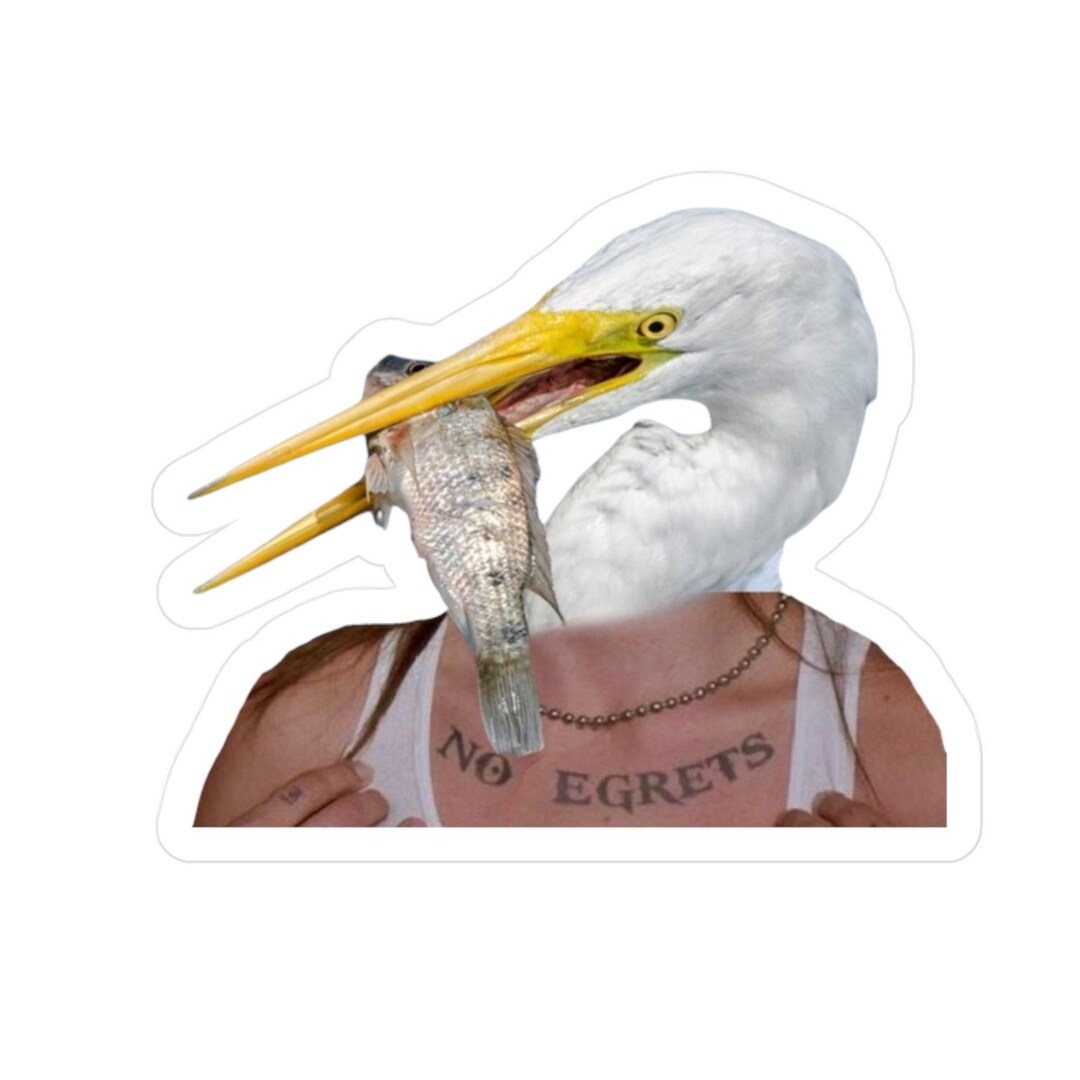 No Egrets Meme Sticker for Laptop, Hard Hat, Notebook, Water Bottle, Thermos and More - Etsy