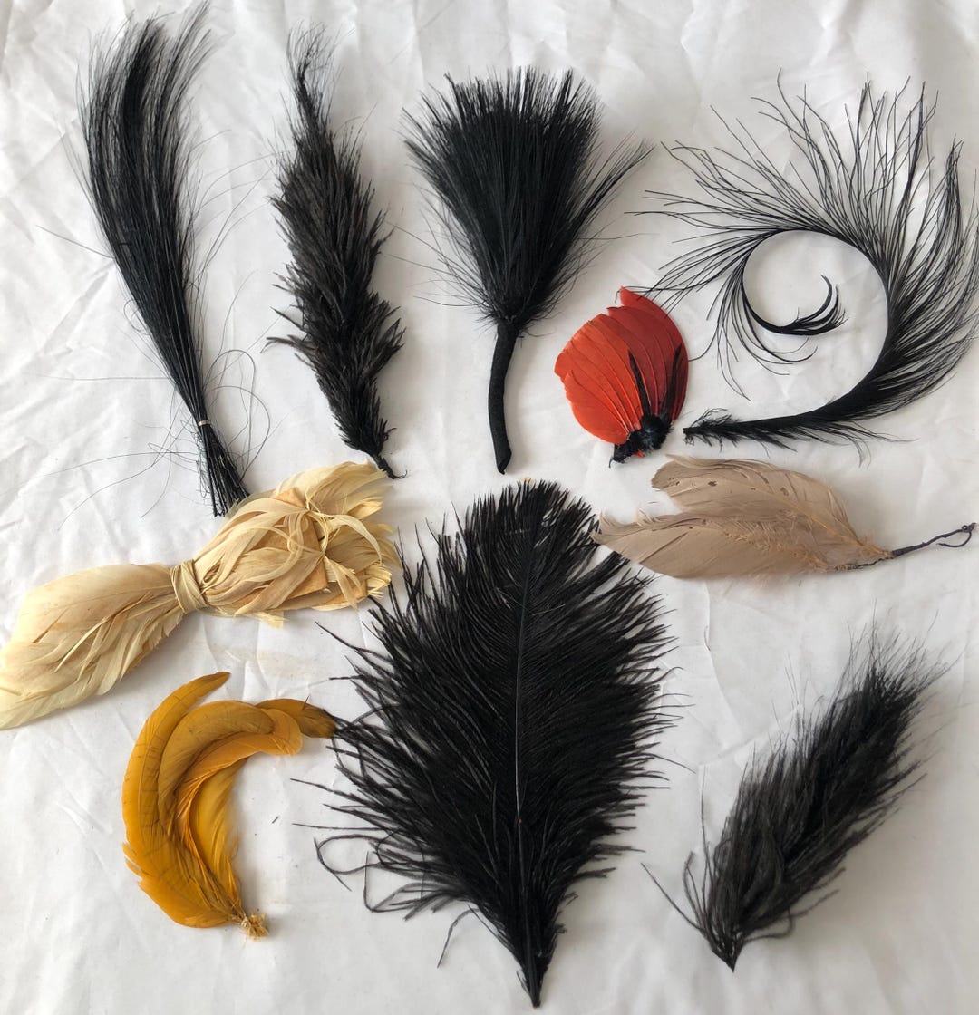 Job Lot 10 Antique French Victorian Ostrich Feathers Millinery Plumes ...