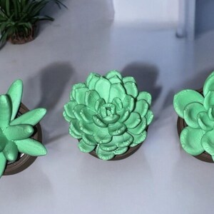 Succulent Plant Fidget Spinners 3D Printed Set of 3 - Etsy