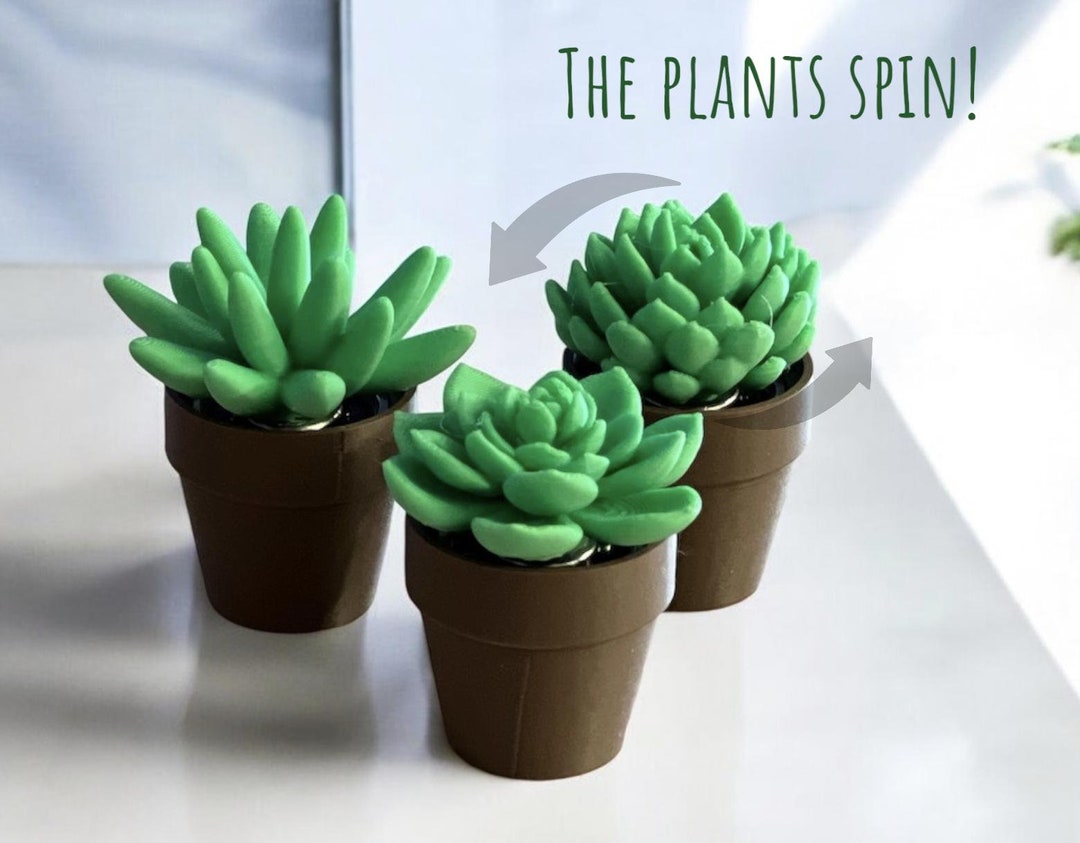 Succulent Plant Fidget Spinners 3D Printed Set of 3 - Etsy