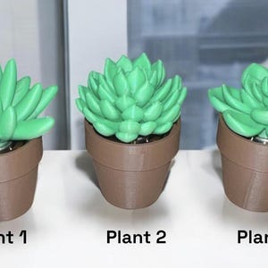 Succulent Plant Fidget Spinners 3D Printed Set of 3 - Etsy