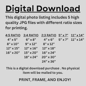 Cottage Core Decor: Downloadable Evil Eye Art - Unique Evil Eye Home ...