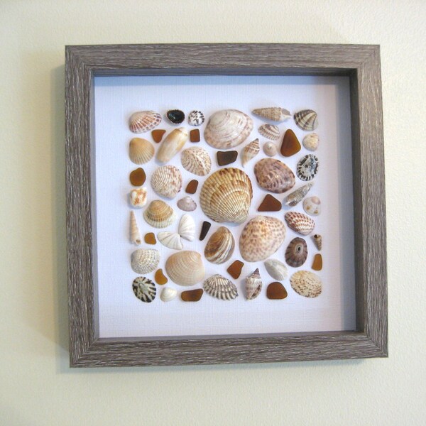 Seashell Wall Art - Etsy