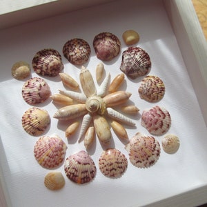 Mandala Shell Art, Framed Seashell Art, Seashell Shadowbox Frame, Gift ...