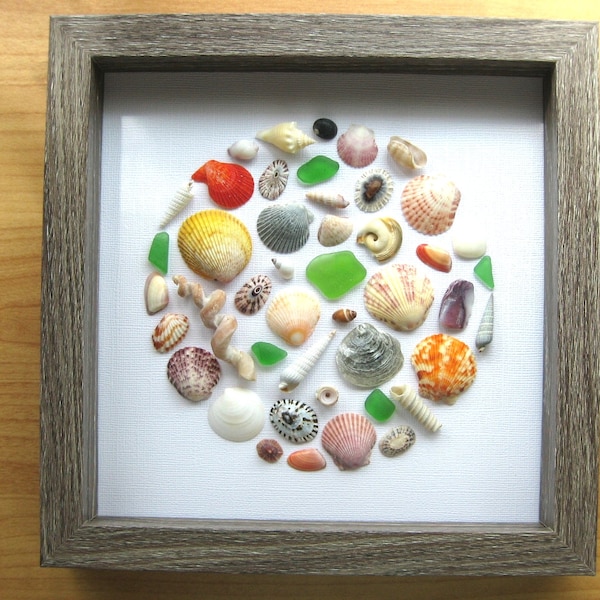 Framed Shell Art - Etsy