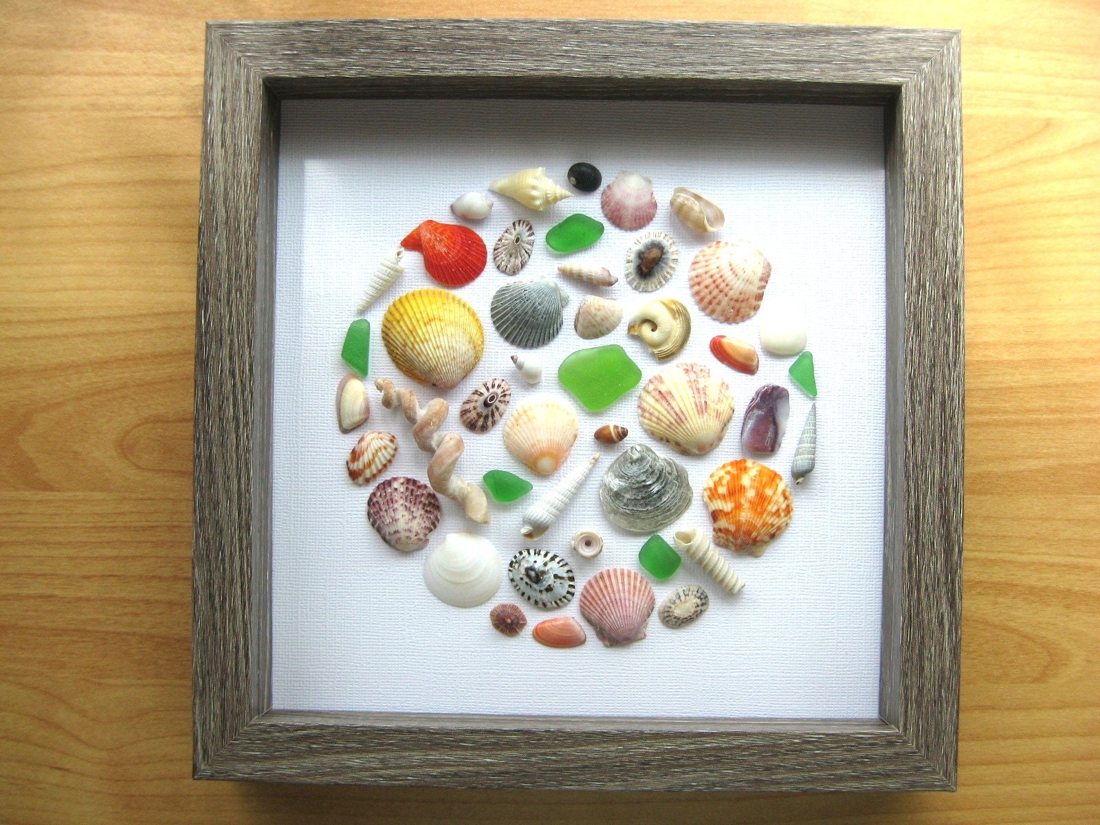 Seashell and Seaglass Shadowbox Frame, Coastal Wall Decor, Framed Shell ...