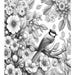 Beautiful Springtime Scenes Grayscale Coloring Pages for Adults ...