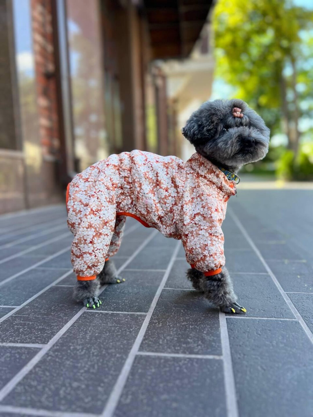 Floral Dog Dust Suit: Lightweight Cotton Full Body Protective Clothing ...
