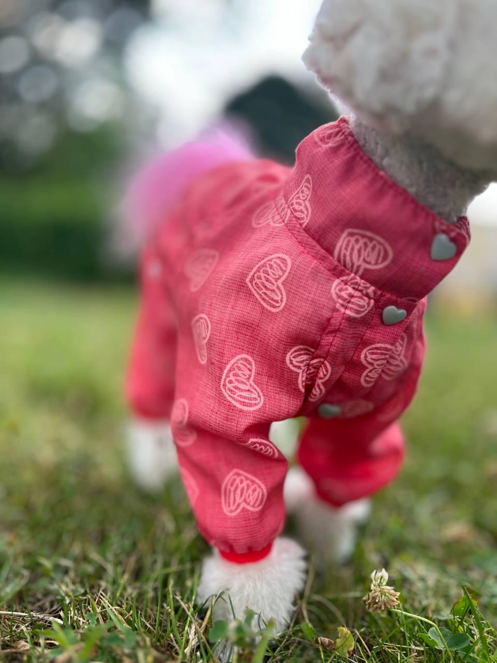 Dog Dust Suit like Lightweight, Full Body, 100% Cotton Protective ...
