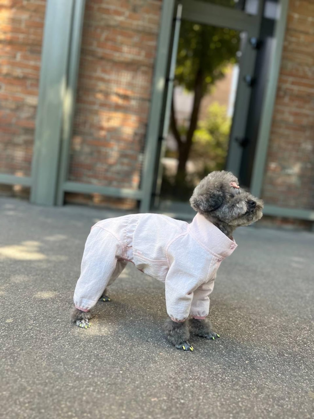 Pink Dog Dust Suit: Lightweight Cotton Full Body Protective Clothing - Etsy