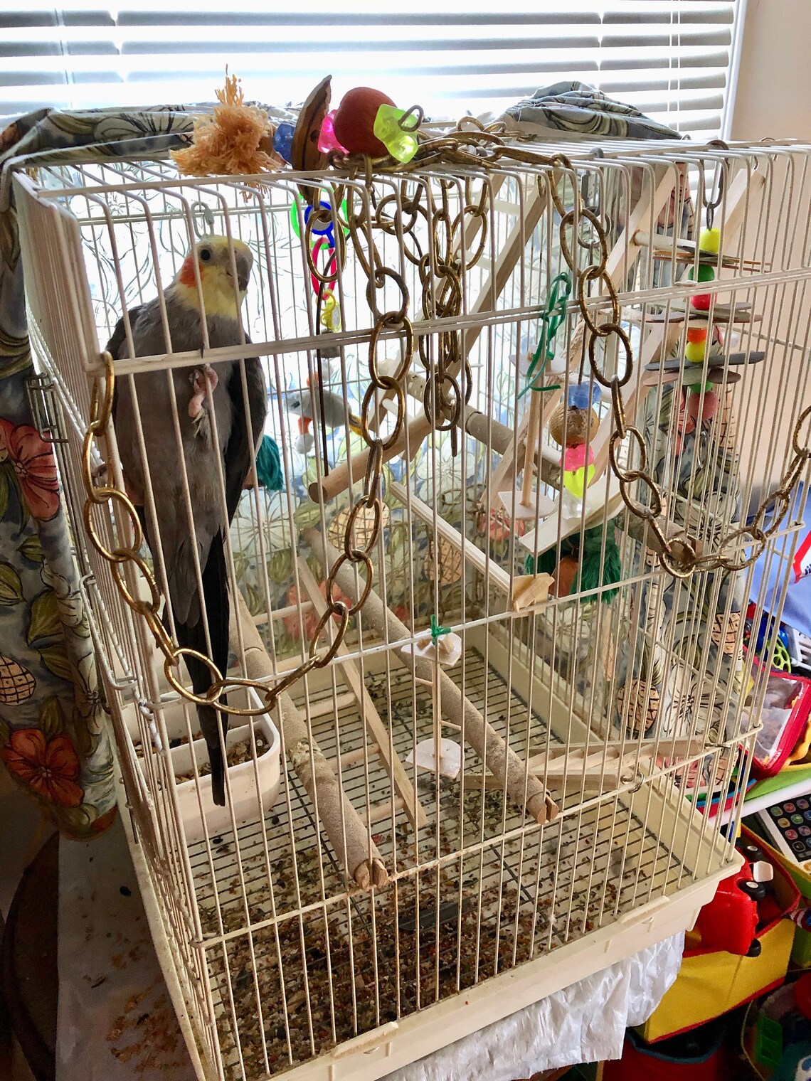 3 STURDY BIRDY Cage Ladders 12"x4" MADE in the U.S.A. - Etsy