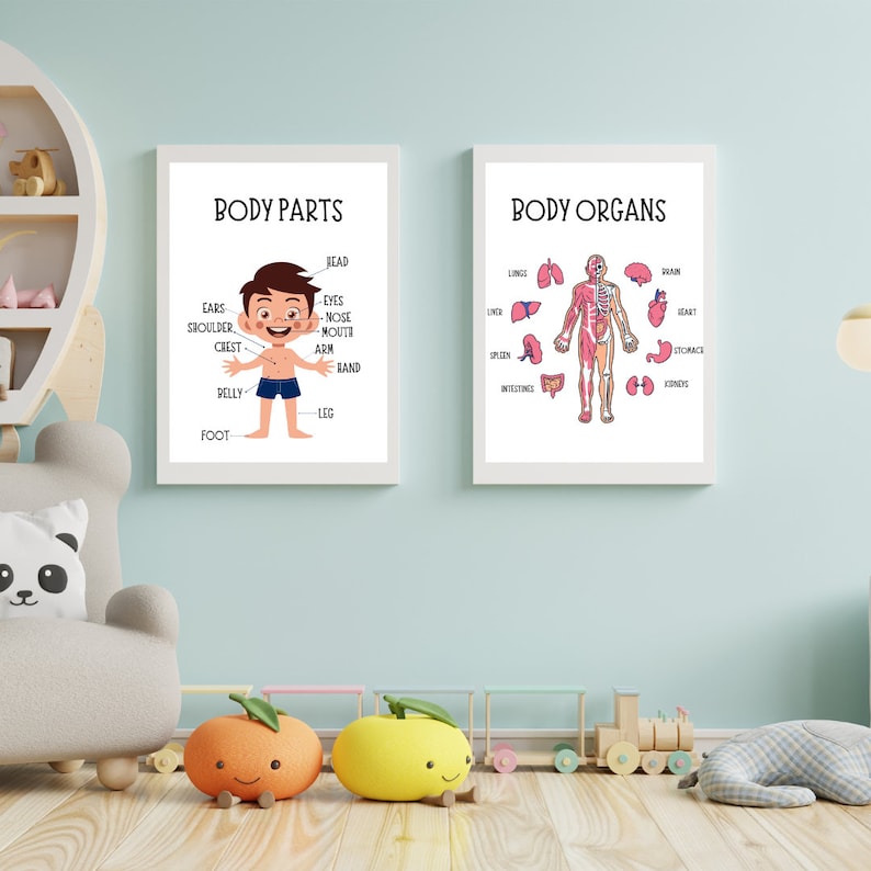 Body Parts Printable Educational Poster Printable Wall Art Digital ...
