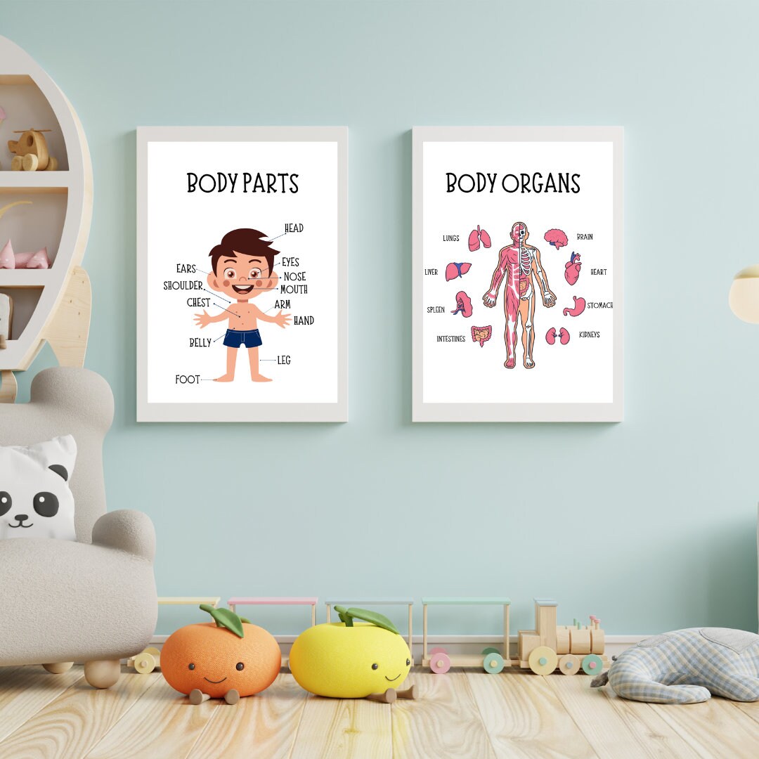 Body Parts Printable Educational Poster Printable Wall Art Digital ...