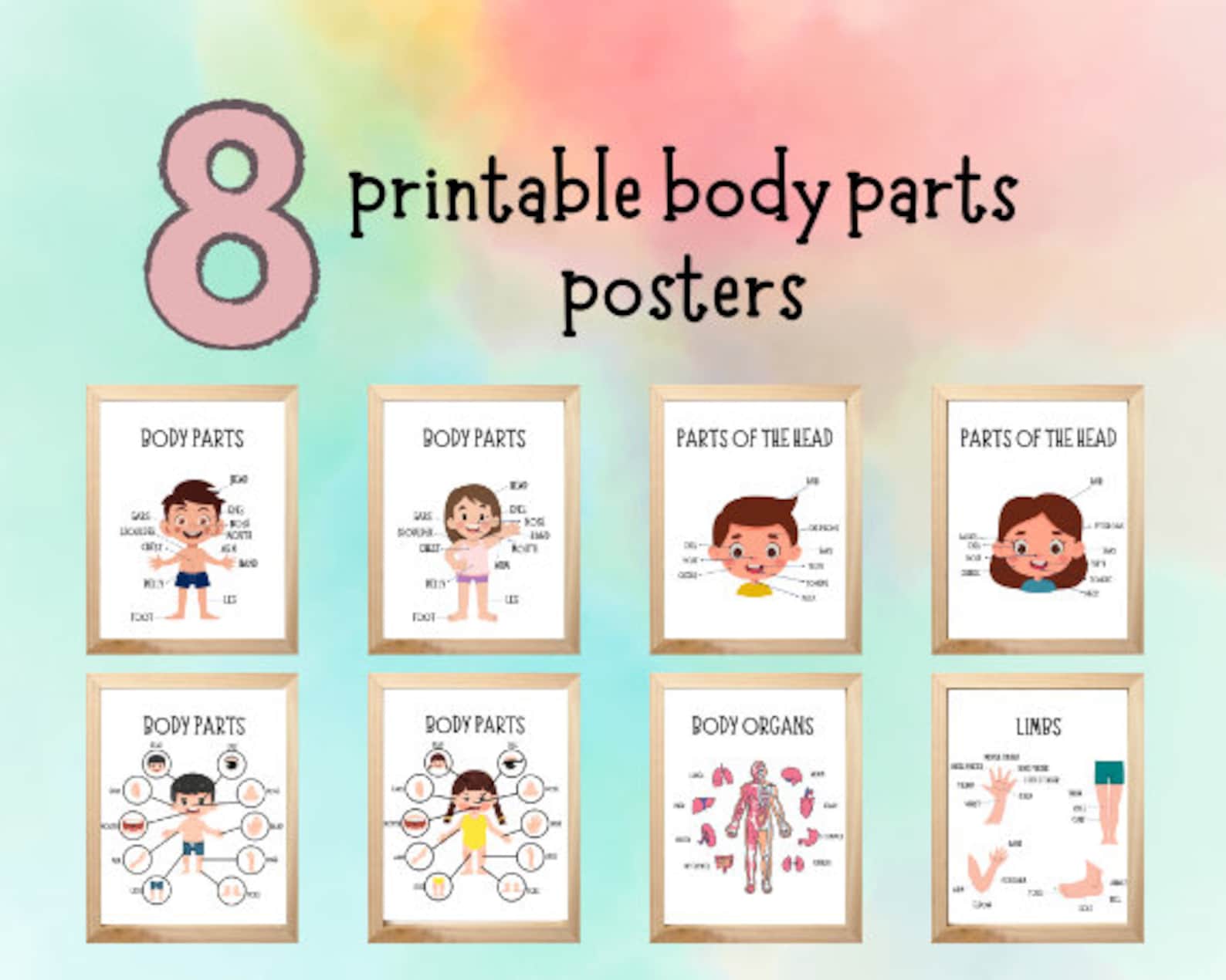 Body Parts Printable Educational Poster Printable Wall Art Digital ...