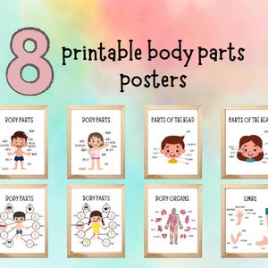 Body Parts Printable Educational Poster Printable Wall Art Digital ...