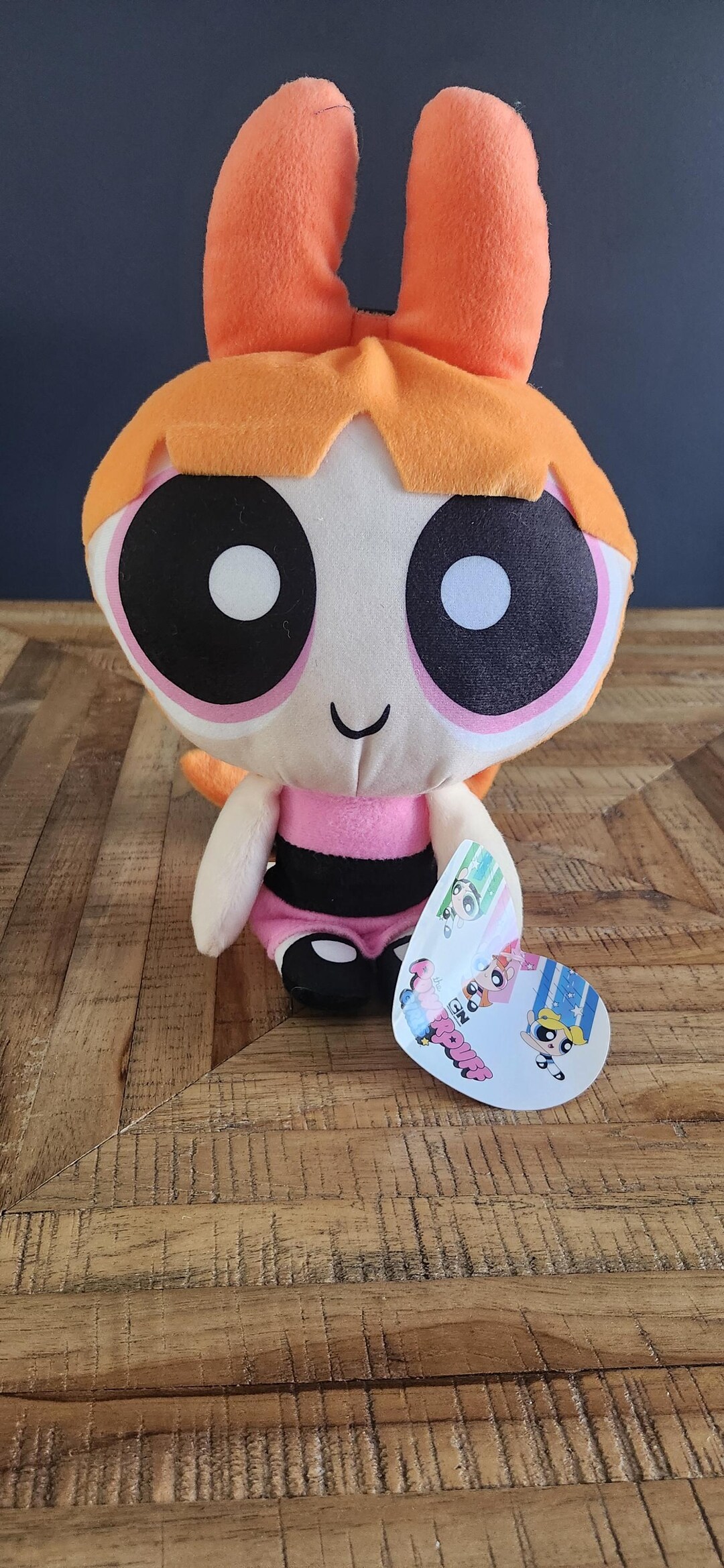 Plush PPG Powerpuff Girls Cartoon Network BELLE Supers Nanas - Etsy