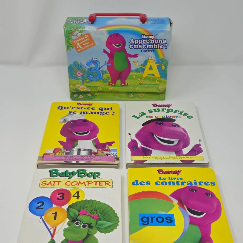 Barney Book - Etsy