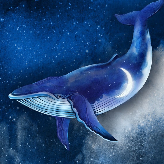 Blue Whale Print